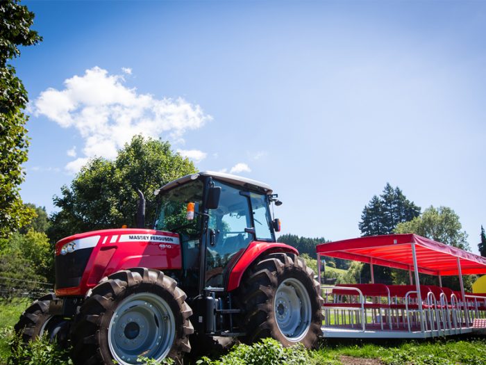 thefarmtour - The Farm Tour