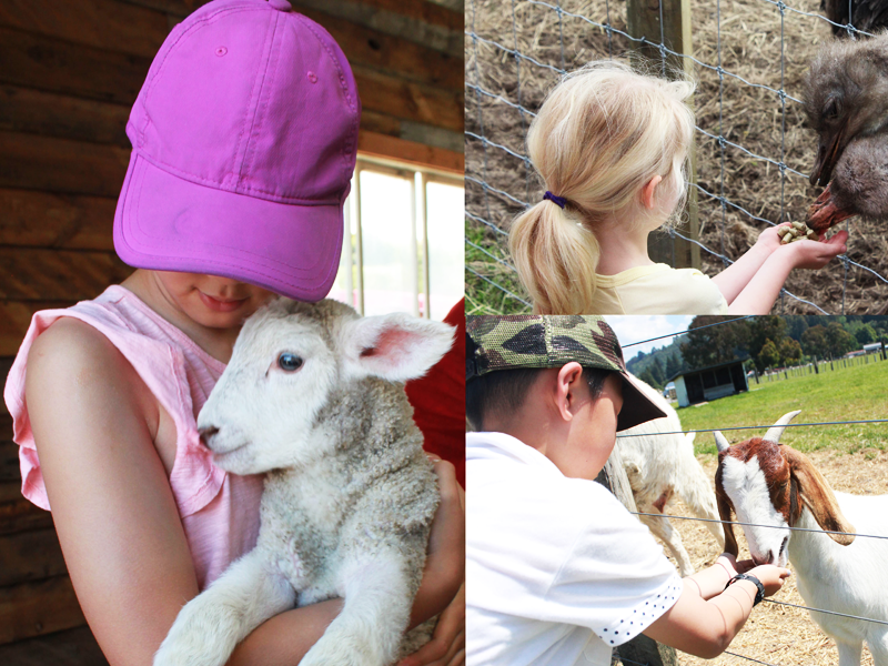 Home - The Farm Tour