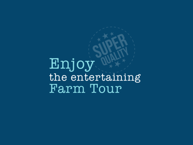 Home - The Farm Tour